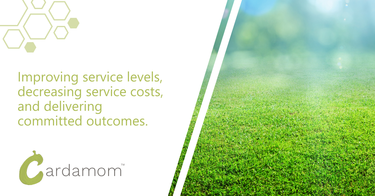 Application Services | Cardamom